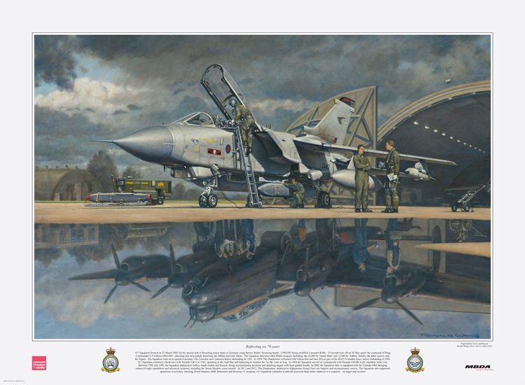 617's Anniversary Painting - FighterControl